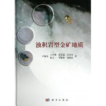 [按需印刷]浊积岩型金矿地质