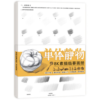 【2021新书】素描单体静物临摹卡 素描临摹卡画册 单页素描纸32张 学生素描静物单体构图明暗素描零