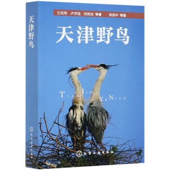 天津野鸟