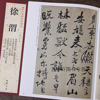 徐渭 历代名家书法经典 繁体旁注 草书诗轴 行草立轴 草书岑参诗轴 画题跋 前赤壁赋 草书