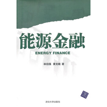 能源金融 林伯强,黄光晓【正版书】