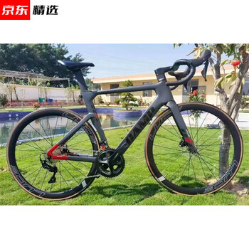 2022新款camp公路车坎普CAMP ACE 7000碳纤维全内走线7020 105大套油压公路车 灰色46【图片 价格 品牌 报价】-京东