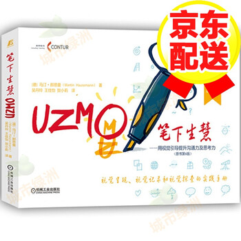 笔下生慧 用视觉引导提升沟通力及思考力（原书第6版）