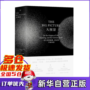 大图景(论生命的起源意义和宇宙本身)