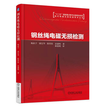 包邮 钢丝绳电磁无损检测 杨叔子 机械工业出版社