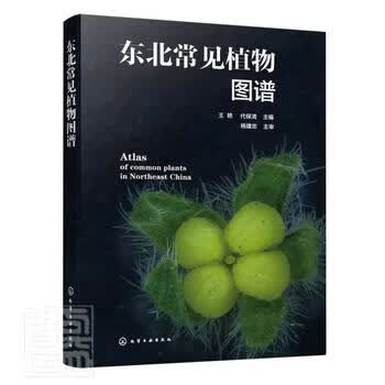 东北常见植物图谱王艳化学工业出版社9787122380081 科普读物书籍