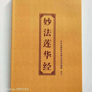 注音读诵本16开 妙法莲华经 大乘妙法莲花经 法华经 简装十六开简体大字带拼音佛教经书结缘 【妙法莲华经】
