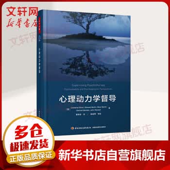 心理动力学督导