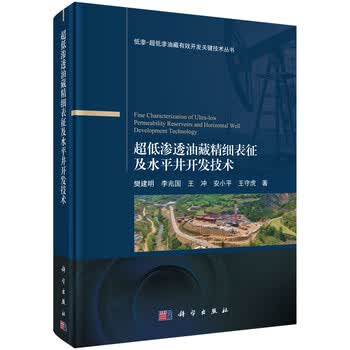 超低渗透油藏精细表征及水平井开发技术5