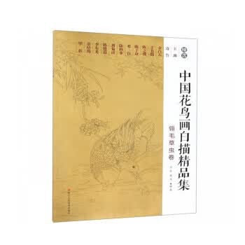[正版图书] 中国花鸟画白描精品集(翎毛虫卷) 毕彰,蔡荣 浙江人民美术出版社 9787534072