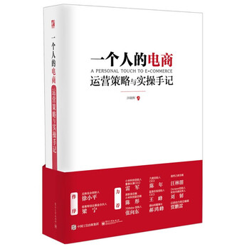 一个人的电商 运营策略与实操手记（双色）