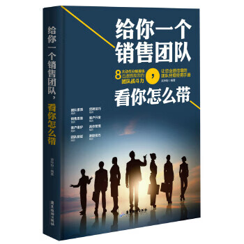 给你一个销售团队，看你怎么带