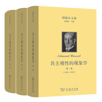 共主观性的现象学(全三卷)(胡塞尔文集)