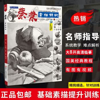 蔡兼素描静物 沐尚文化祁达基础石膏头像几何体单体组合结构步骤照片对画临摹范本入门美术绘画 高校联考绘画临摹教程书籍