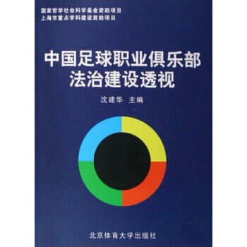 中国足球职业俱乐部建设透视