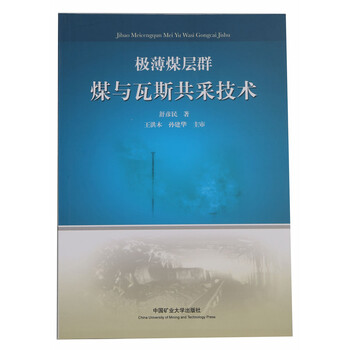极薄煤层群煤与瓦斯共采技术