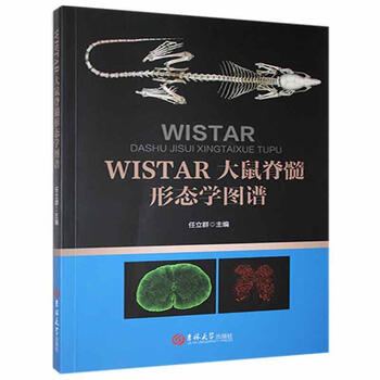 WISTAR大鼠脊髓形态学图谱任立群吉林大学出版社9787569279399/科学与自然书籍