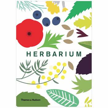 Herbarium 植物香草百科 英文原版
