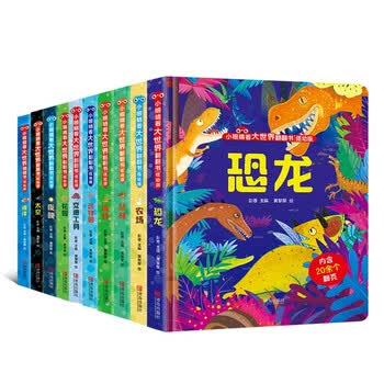 小眼睛看大世界（科普启蒙翻翻书低幼版套装共10册）