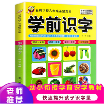 学前识字书幼儿认字教材幼小衔接启蒙看图识字大王幼儿园大班学前班练习册学龄前儿童基础训练幼升小入学准备