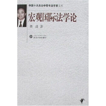 宏观国际法学论