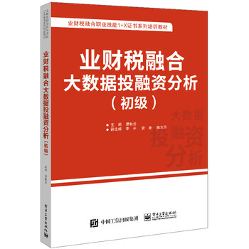 业财税融合大数据投融资分析 初 谭秋云 大数据管理预算风控融资投资评价分析会计财务管理审计市场营