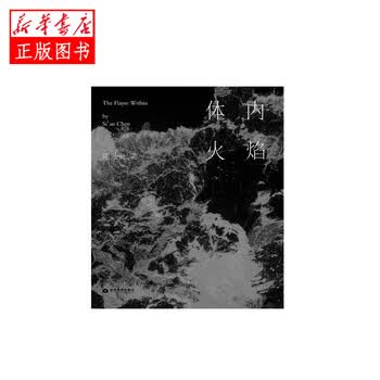 体内火焰  陈思安 著，一頁folio 出品  当代世界出版社  新华书店正版图书