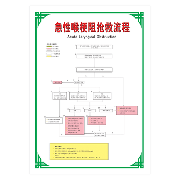 医院制度急救程序挂图过敏性休克抢救流程图示意图墙贴纸WSB169 WSB169-22 50*70cm  PP覆膜贴纸