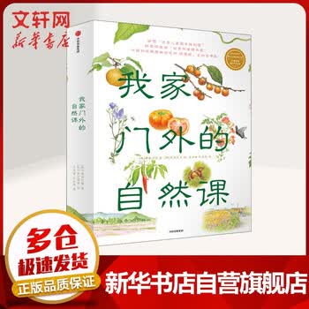 我家门外的自然课（修订版全4册）给孩子们科普100多种常见的植物 中信出版社童书[3-10岁]