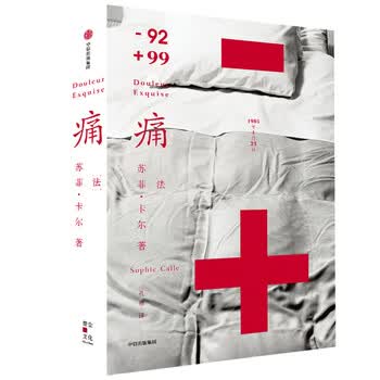 痛(精) [法]苏菲·卡尔  孔潜 译 书籍