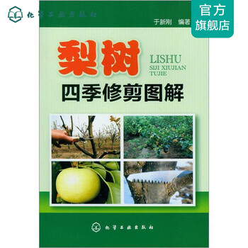 梨树四季修剪图解