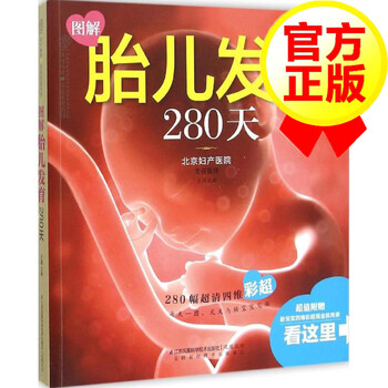 图解胎儿发育280天