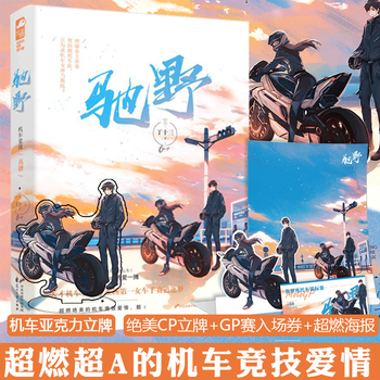 正版【赠双人立牌+海报等】驰野 丁十三 赛道竞技爱情青春文学言情 机车竞技 都市甜宠小说