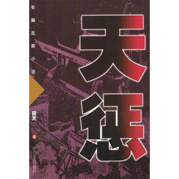 长篇反腐小说:天惩