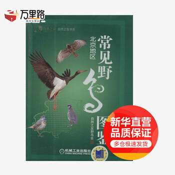 常见野鸟图鉴