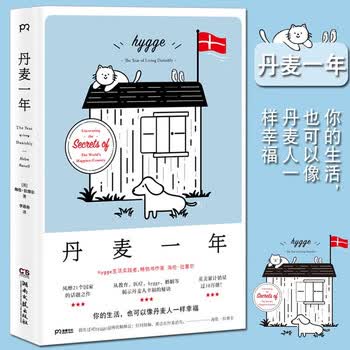 丹麦一年