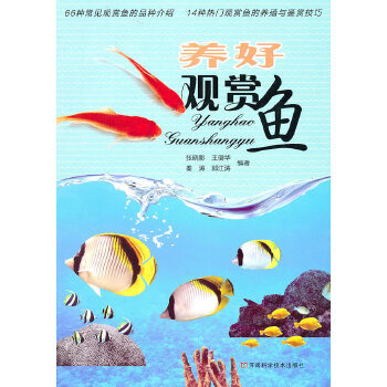 养好观赏鱼【正版图书，放心下单】