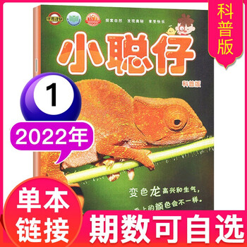 小聪仔（科普版）2022年6月新 【另有往期可选】2~8岁幼儿益智兴趣智力开发儿童科普2021过期刊杂志单本 2022年1月