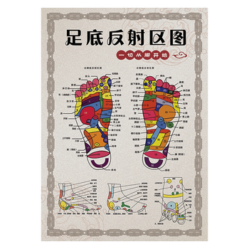 中医养生按摩国家标准足穴挂图脚底足部反射区宣穴位图传画WSA WSA18-04 足底反射区图 70x100cm  PP覆膜贴纸