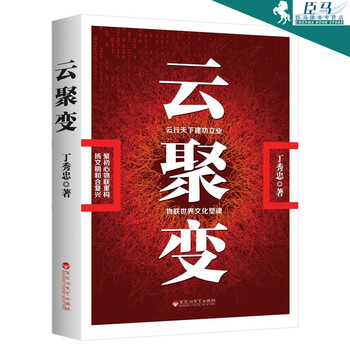 【新书现货】云聚变 丁秀忠 百花洲文艺出版社 云行天下 智惠世界 云时代 云联盟