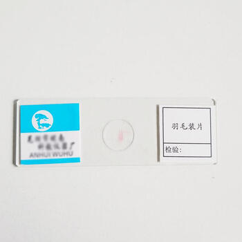 生物切片标本 显微镜玻片标本套装 初中学生儿童学生动物植物细胞 羽毛装片