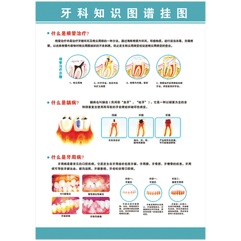 牙科宣传画口腔科海报牙齿结构功能知识解剖图谱挂图墙贴画WSA54 WSA54-03 什么是根管治疗龋病 40x60cm  PP覆膜贴纸