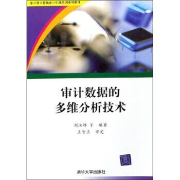 审计数据的多维分析技术【正版图书】