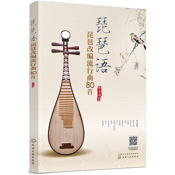 【正版图书】琵琶语 琵琶改编流行曲80首