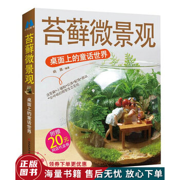 苔藓微景观：桌面上的童话世界