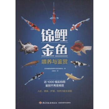 锦鲤金鱼喂养与鉴赏