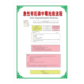 医院制度急救程序挂图过敏性休克抢救流程图示意图墙贴纸WSB169 WSB169-31 80*120cm  PP覆膜贴纸