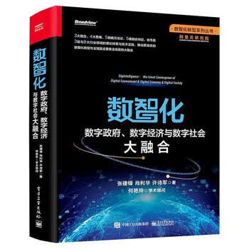 数智化：数字政府、数字经济与数字社会大融合 图书