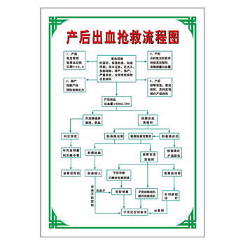 医院制度急救程序挂图过敏性休克抢救流程图示意图墙贴纸WSB169 WSB169-37 80*120cm  PP覆膜贴纸
