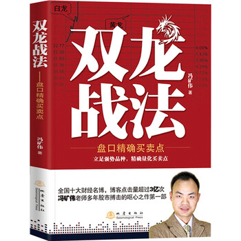 双龙战法